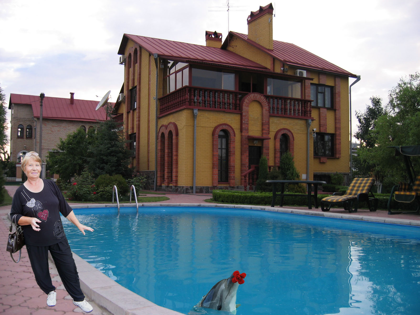 Фотография: роматичный дельфин | Живой Ангарск | LiveAngarsk.ru